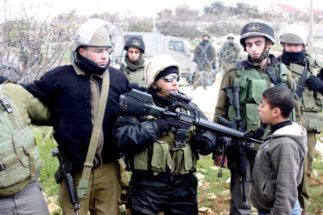 Factsheets - Palestine Solidarity Campaign